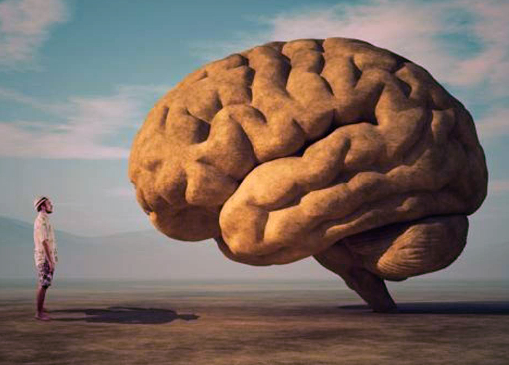 Fortaleza muscular Vs. desarrollo cerebral - Cubaperiodistas