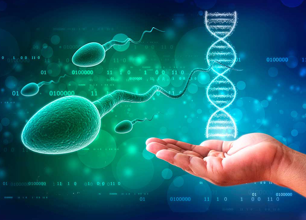 ¿Los genes gobiernan todas nuestras conductas? - Cubaperiodistas