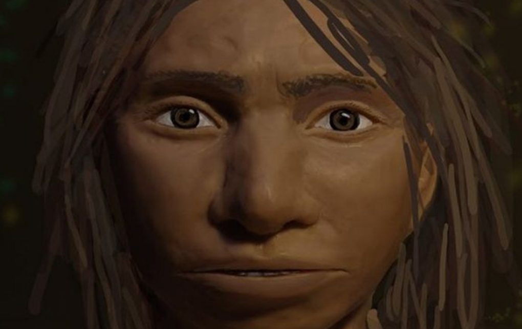 Los humanos de Denisova, más que una rama del árbol de la evolución ...