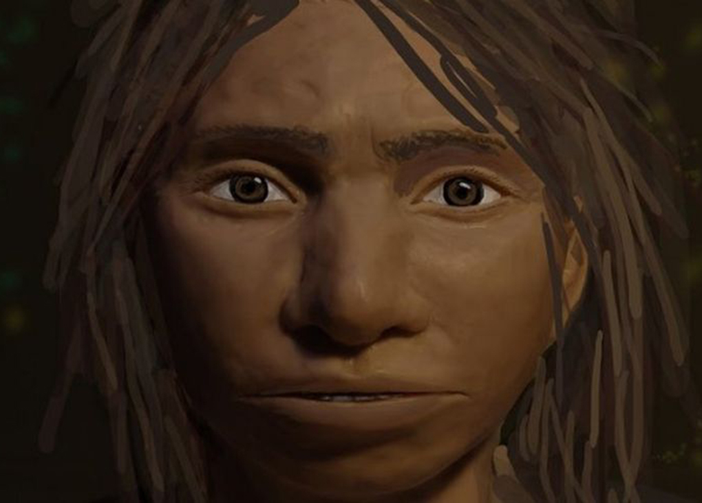 Los humanos de Denisova, más que una rama del árbol de la evolución ...