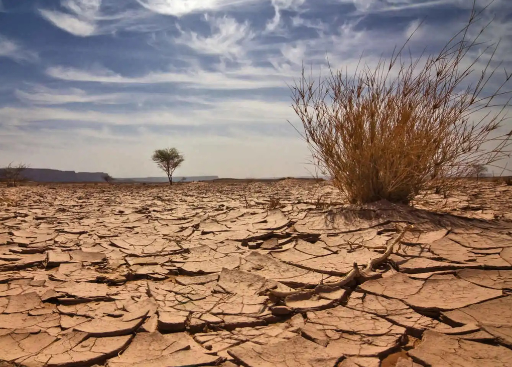 Una nueva sequía llegará a Sudamérica antes que La Niña - Cubaperiodistas